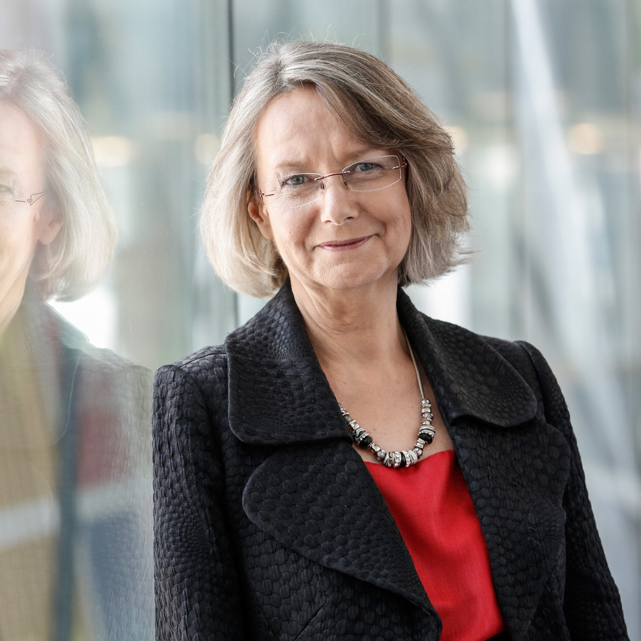 Evelyne Gebhardt | Y Vote